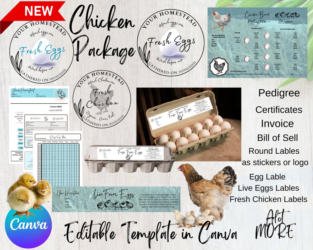 Editable Chicken Package, Chicken, Chicken Logo, Backyard Chickens ...