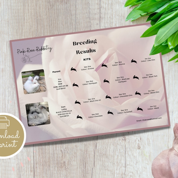 Rabbit Breeding Chart - Etsy