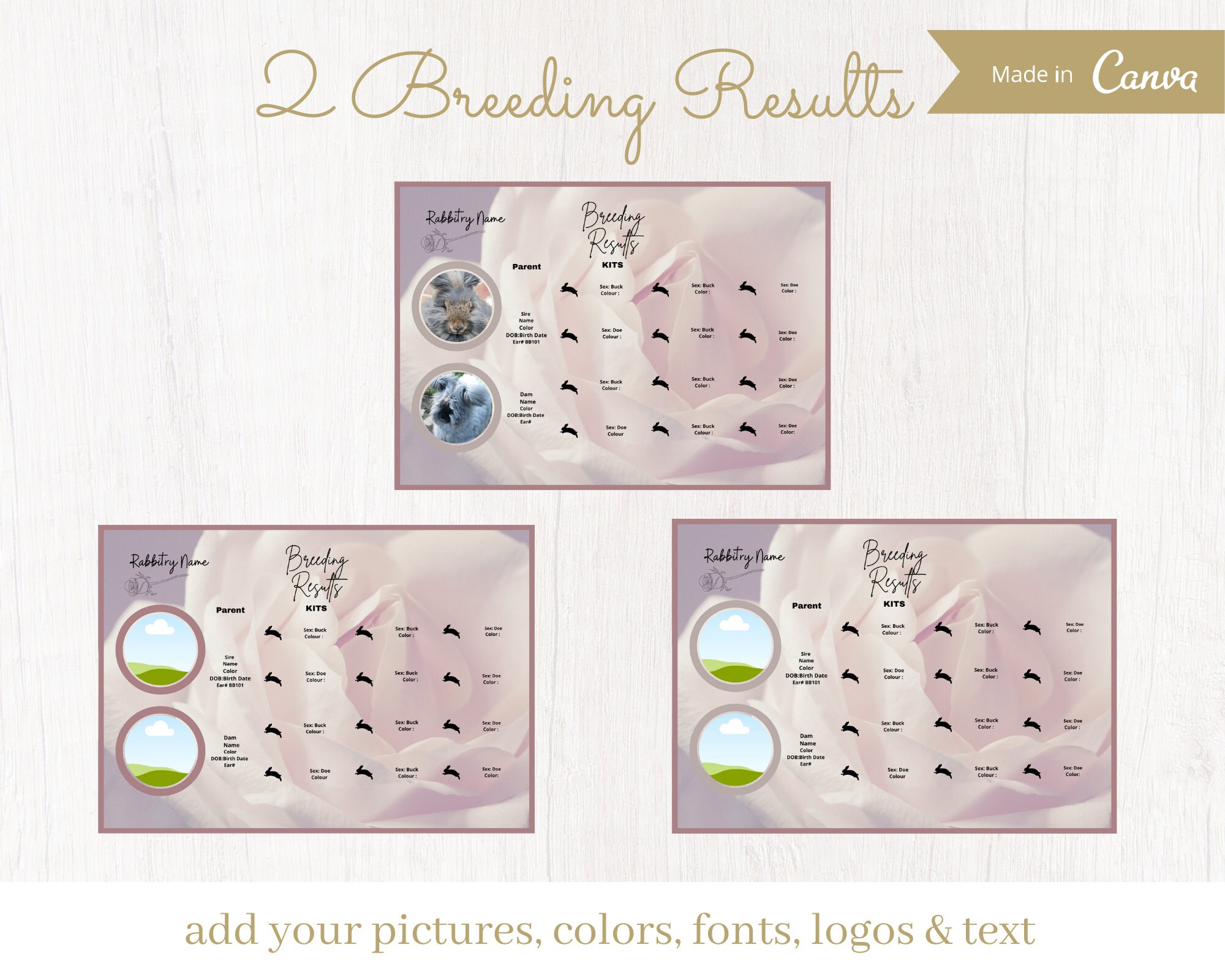 Editable Pink Rose Rabbit Breeding Plan Package & Pedigree, Rabbitry ...
