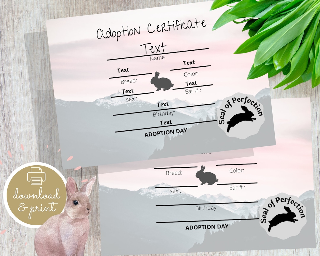 Editable Adoption Certificate, Rabbit Adoption Certificate, Pet ...