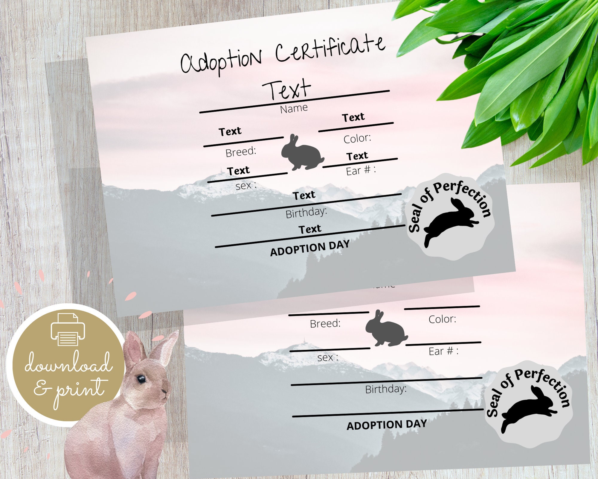 Editable Adoption Certificate, Rabbit Adoption Certificate, Pet ...