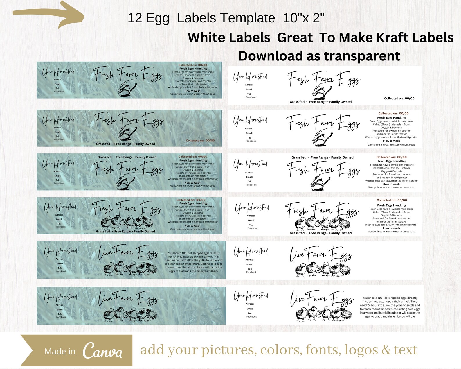 Editable Chicken Package, Chicken, Chicken Logo, Backyard Chickens ...