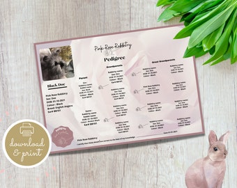 Personalized Custom Rabbit Pedigree Template, Rabbit Pedigree, Breeding ...