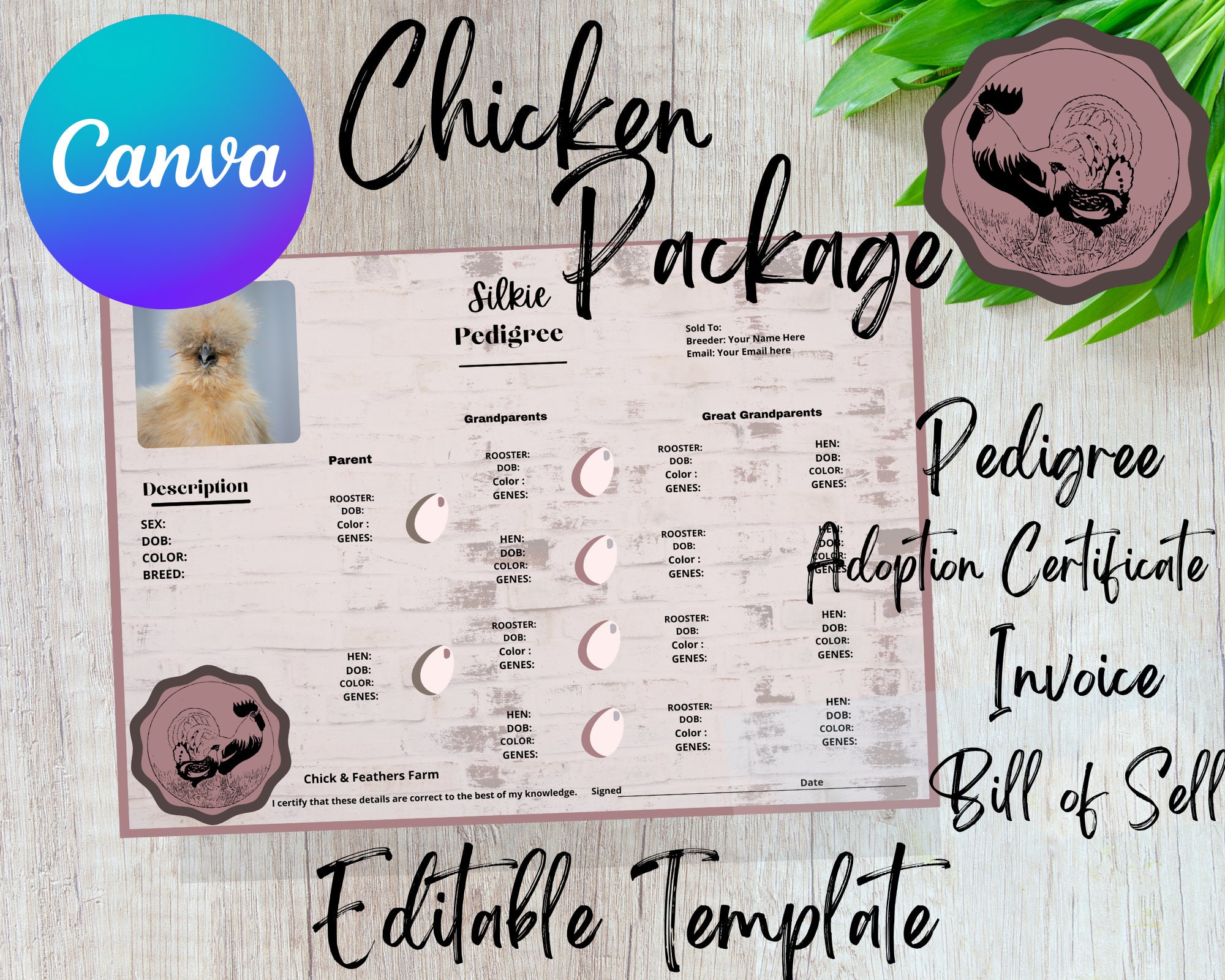 Editable Chicken Breeder Package, Chicken Pedigree, Chicken Adoption ...