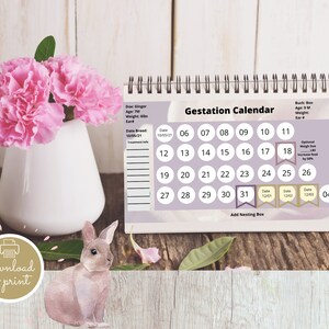 Editable Rabbit Gestation Calendar Template, Printable, Rabbitry ...