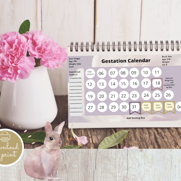 Rabbit Breeding Chart - Etsy