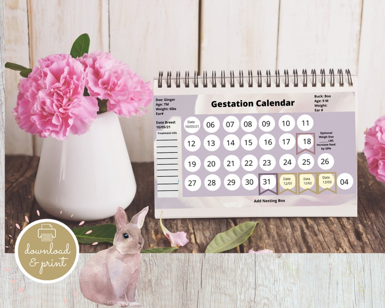 Editable Rabbit Gestation Calendar Template, Printable, Rabbitry ...