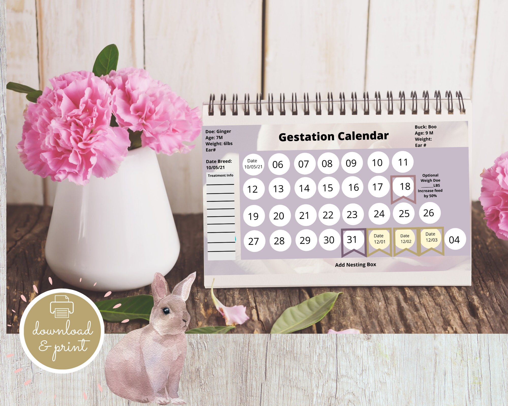 Editable Rabbit Gestation Calendar Template, Printable, Rabbitry ...