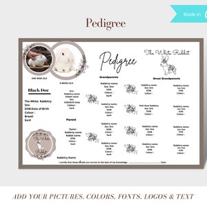 Editable Rabbitry Package Templates the White Rabbit Birth Certificate ...