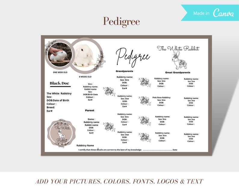 Editable Rabbitry Package Templates the White Rabbit Birth Certificate ...