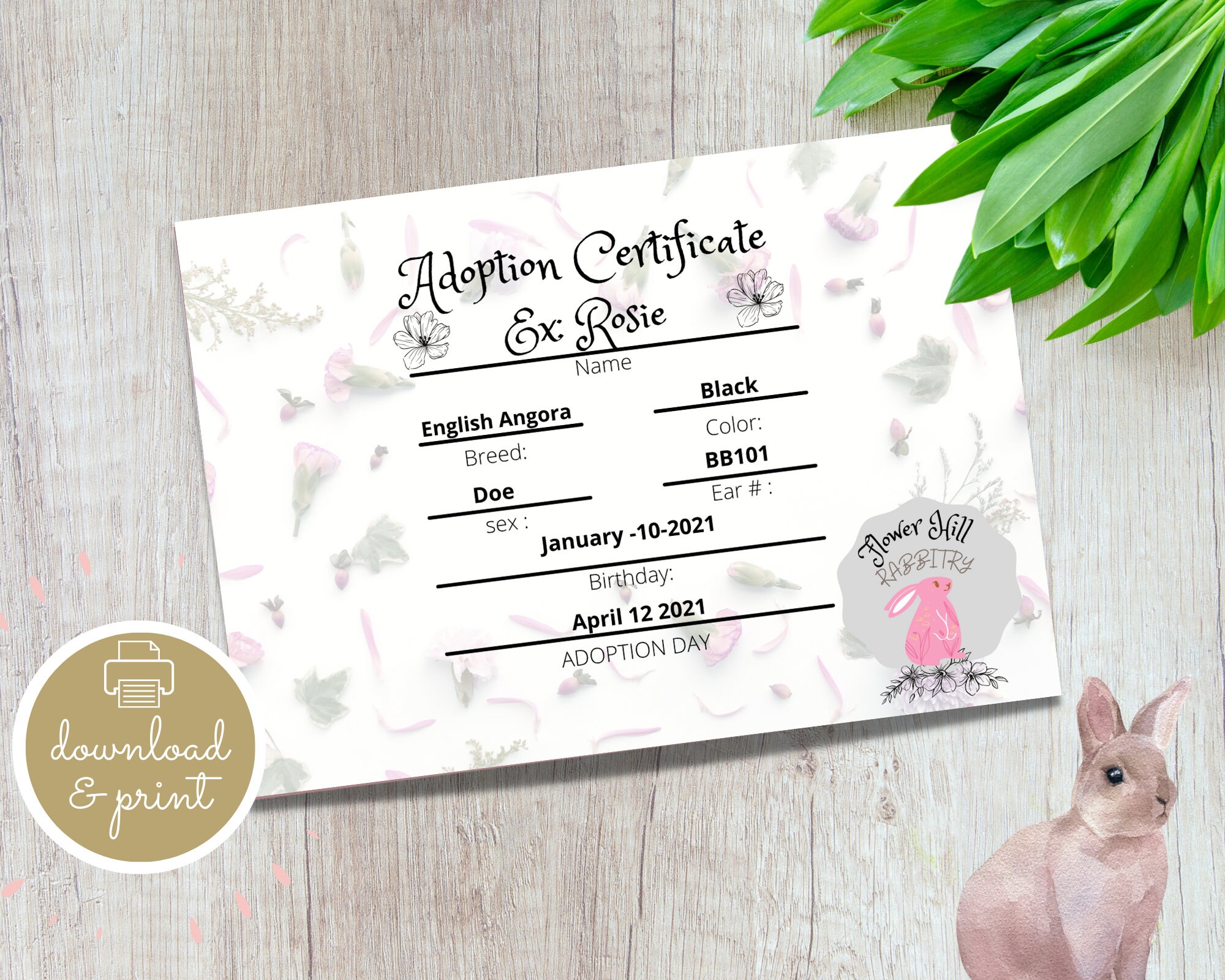Editable Adoption,birth Certificate, Rabbitry Certificate, Pet ...