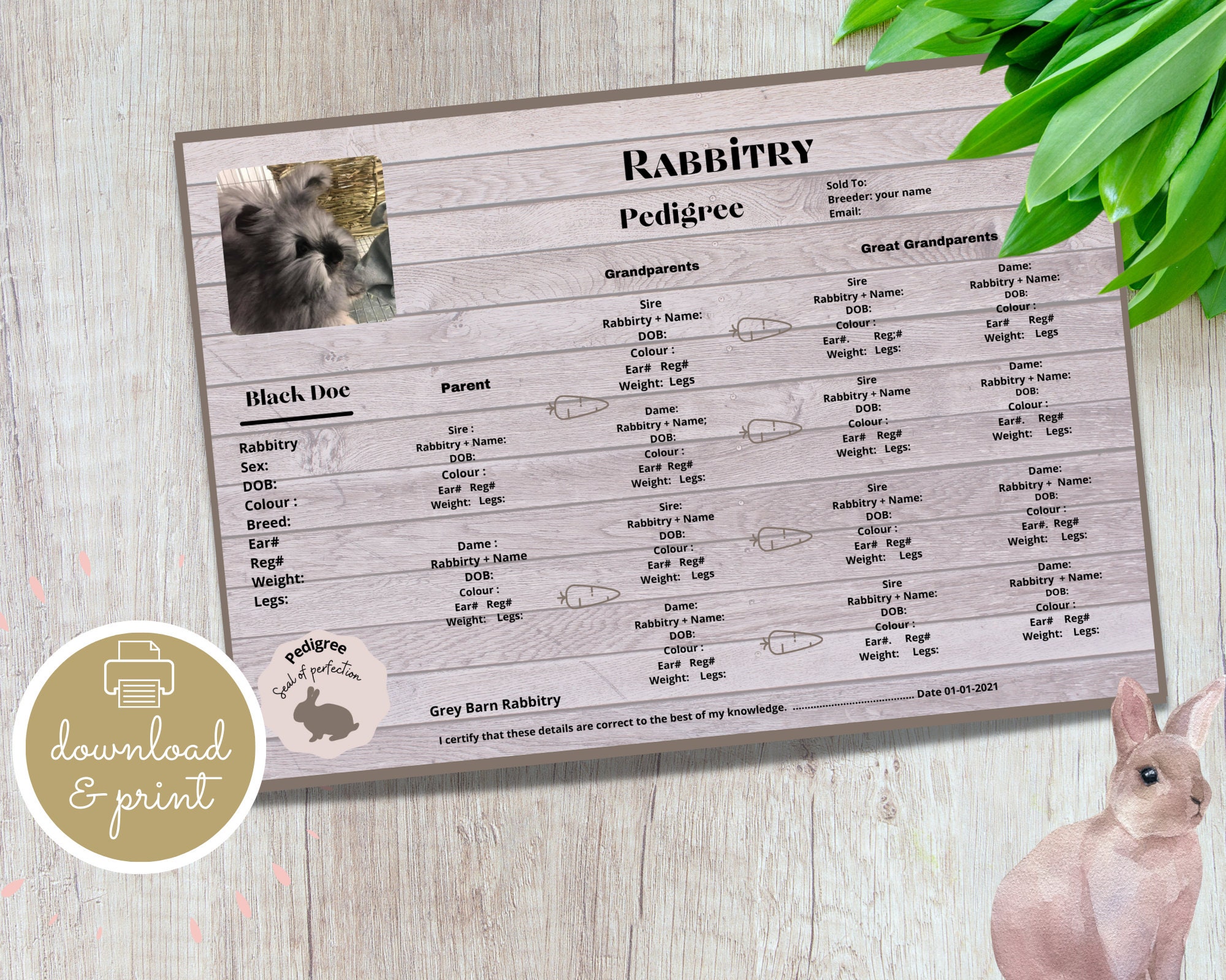 Grey Barn, Editable, Rabbit Pedigree Template, Rabbit Pedigree ...