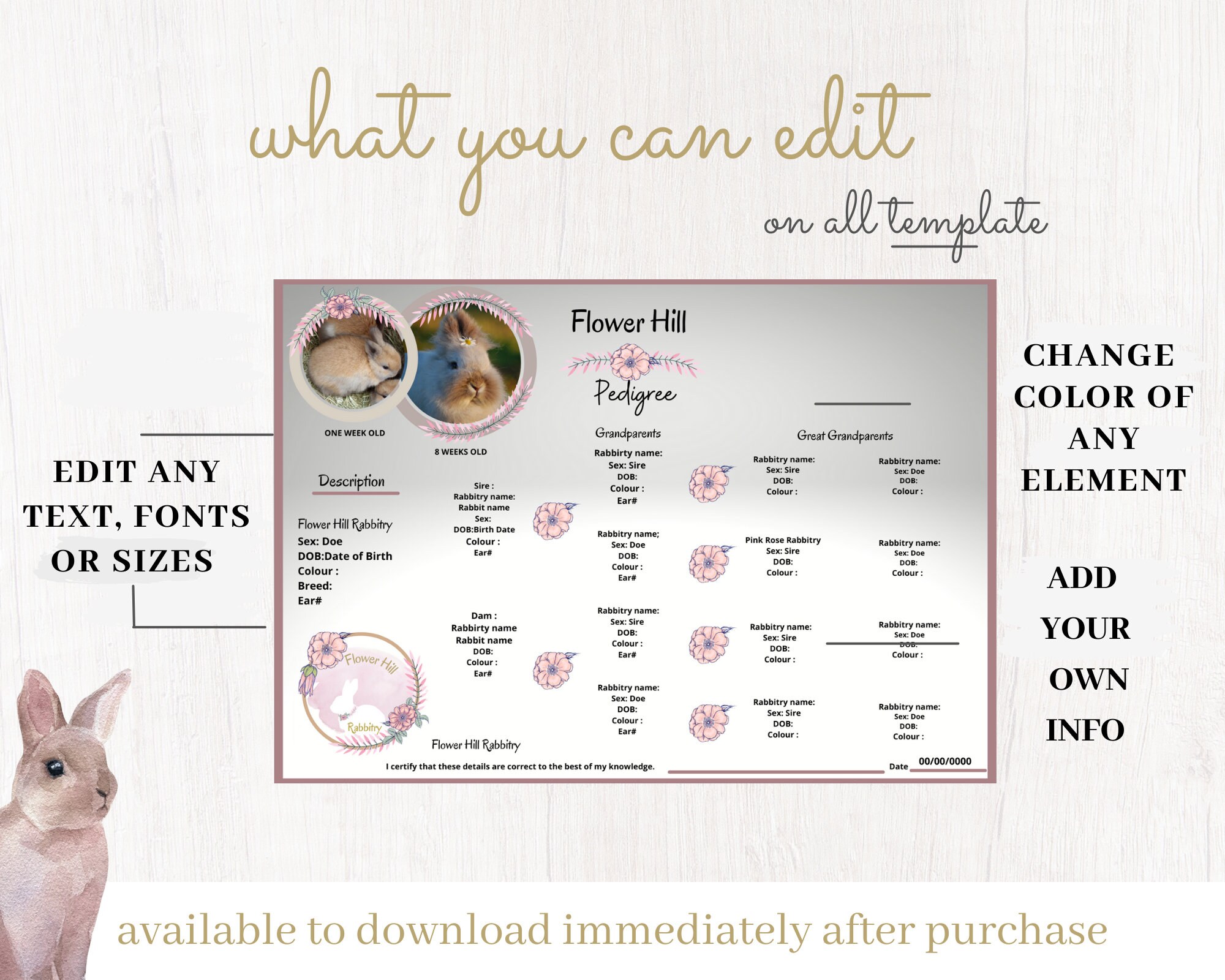 Editable Logo Rabbitry Package Templates,branding Kit , Logo, Pedigree ...