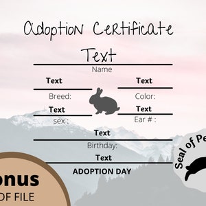 Editable Adoption Certificate, Rabbit Adoption Certificate, Pet ...