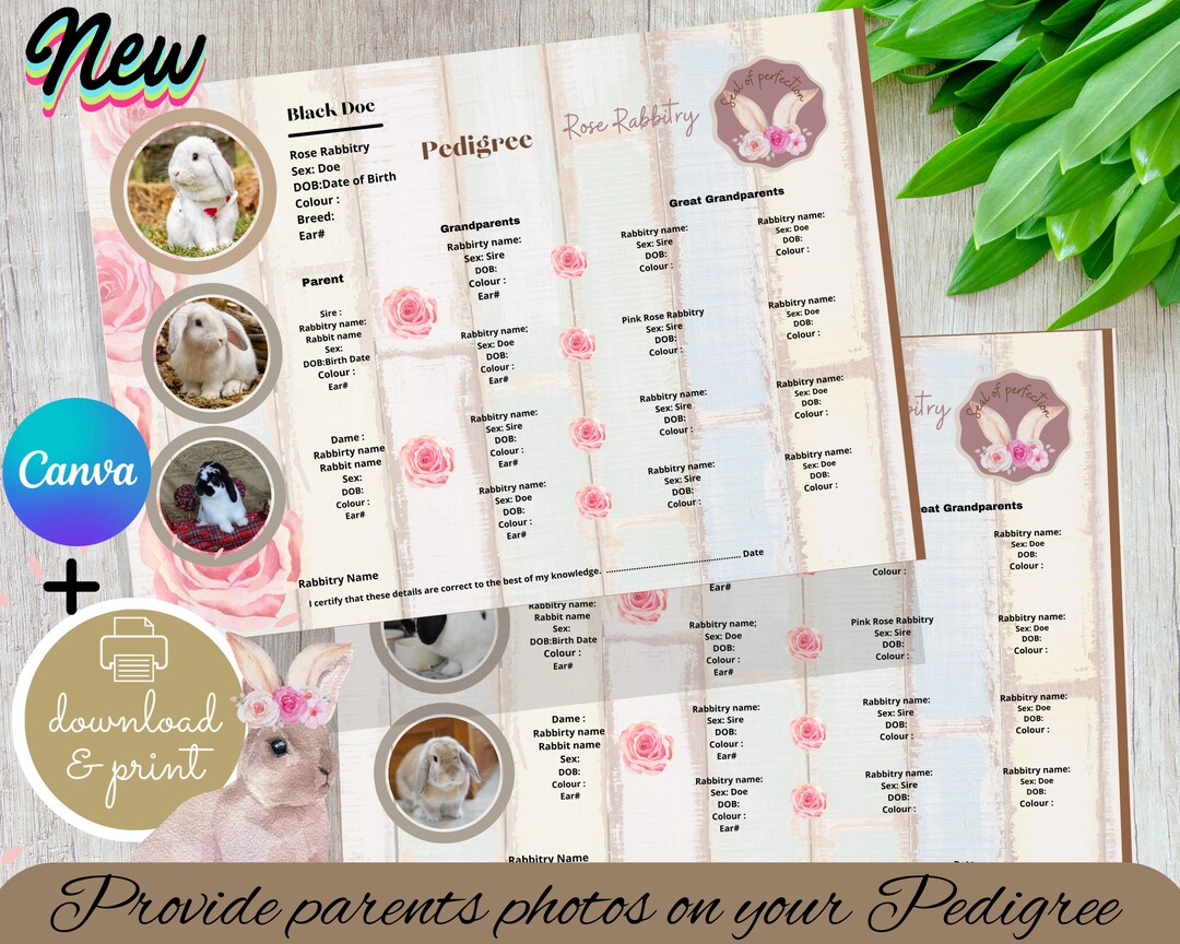 Editable 3 Photo Pedigree, Editable Pedigree, Rose, Rabbit Pedigree ...