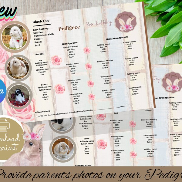 Editable Template Wool Package Logo, Yarn Label, Sheep, Wool Roving ...