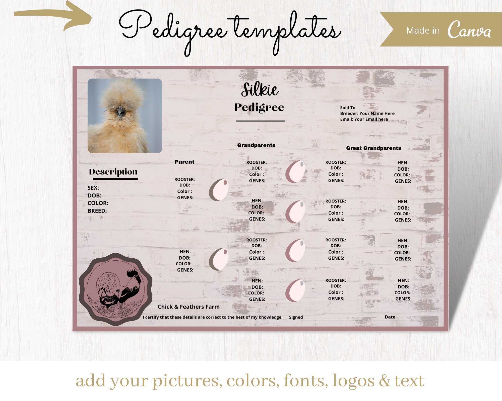 Editable Chicken Breeder Package, Chicken Pedigree, Chicken Adoption ...