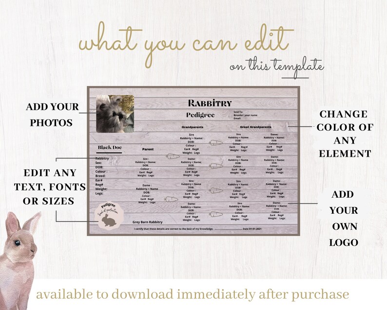 EDITABLE Custom Rabbit Breeding Plan, Complete Pedigreetemplates ...