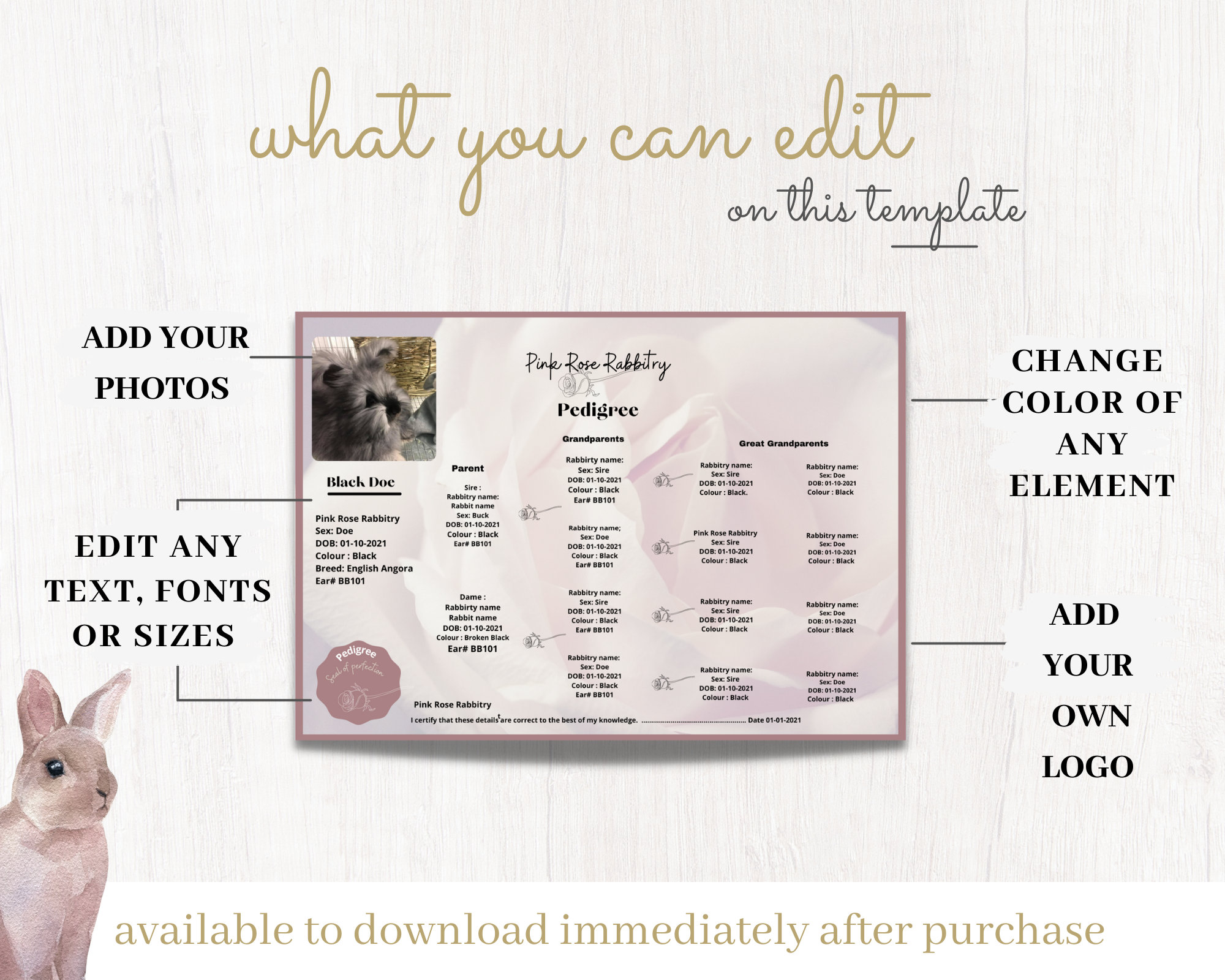 Pink Rose,editable Rabbit Pedigree Template, Rabbit Pedigree, Breeding ...