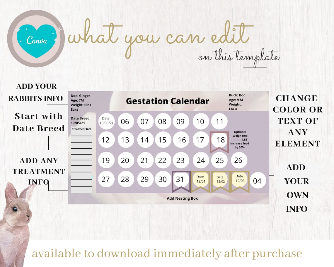 Editable Rabbit Gestation Calendar Template, Printable, Rabbitry ...