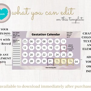 Editable Rabbit Gestation Calendar Template, Printable, Rabbitry ...
