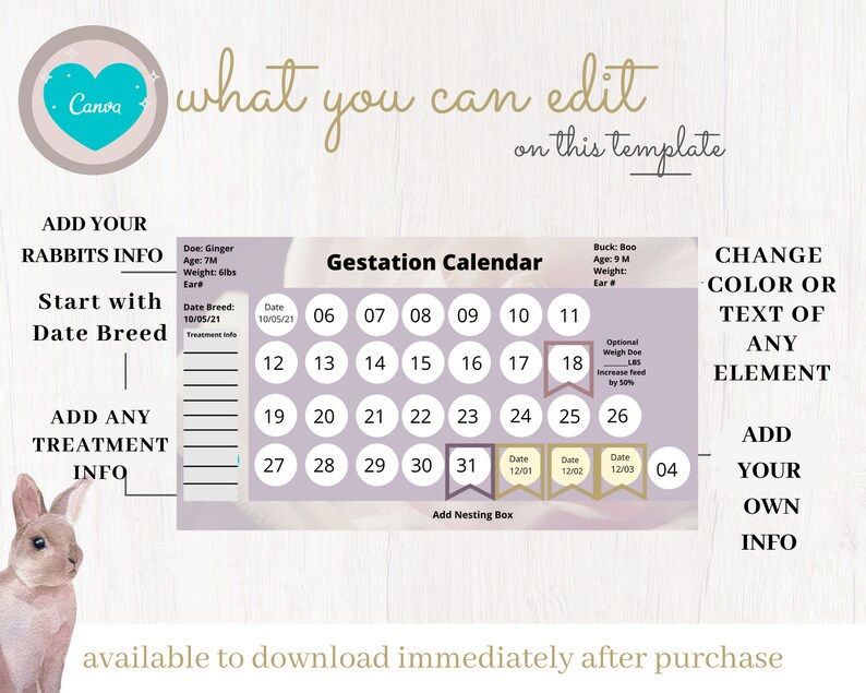 Editable Rabbit Gestation Calendar Template, Printable, Rabbitry ...