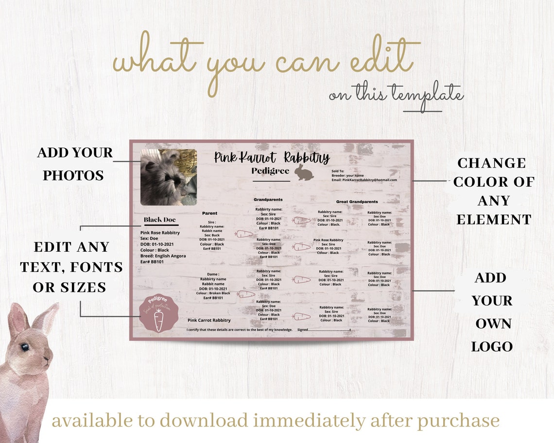 Personalized Custom Rabbit Pedigree Template, Rabbit Pedigree, Breeding ...