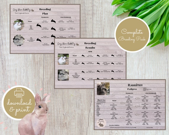 EDITABLE Custom Rabbit Breeding Plan Complete | Etsy