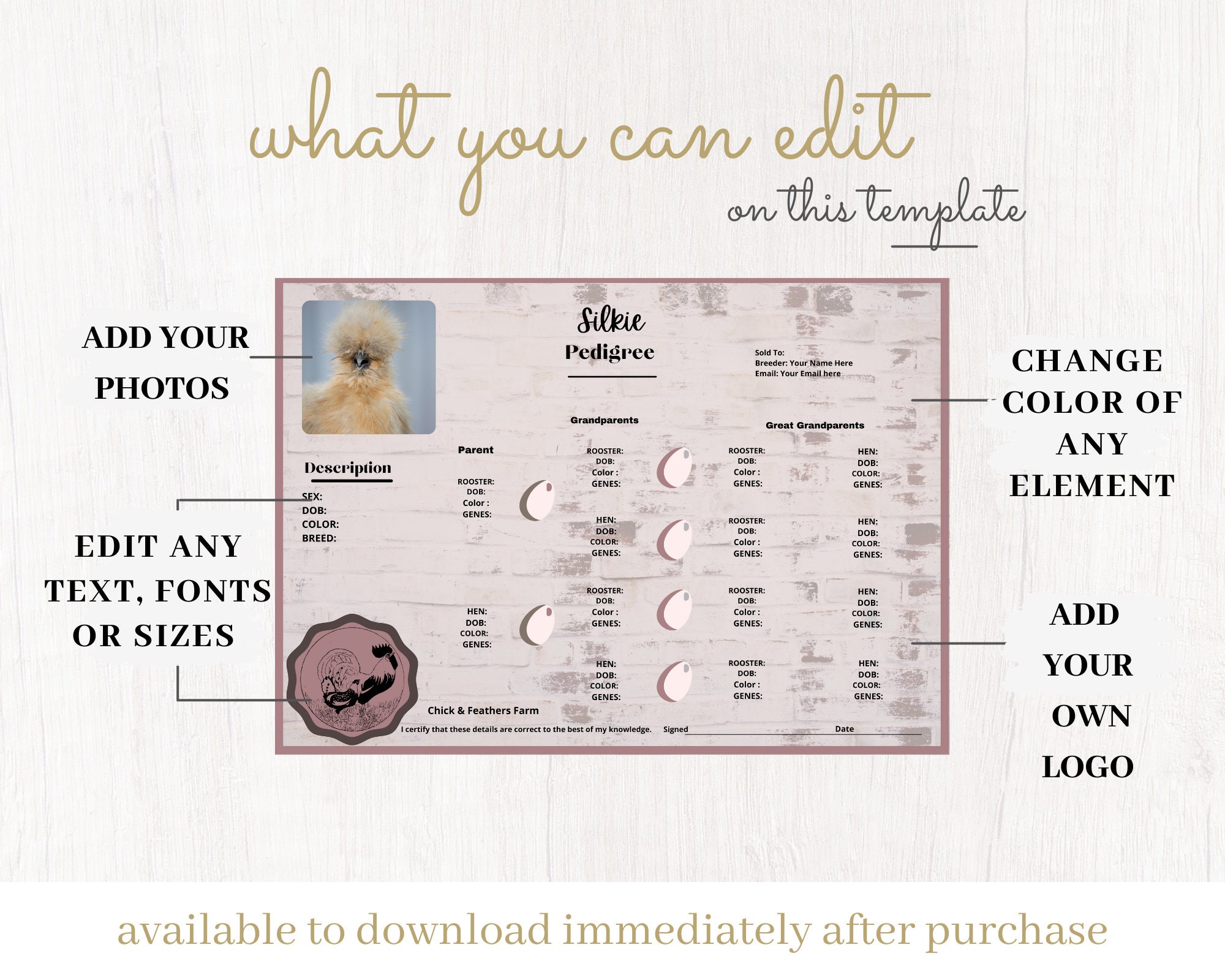 Editable Chicken Breeder Package, Chicken Pedigree, Chicken Adoption ...