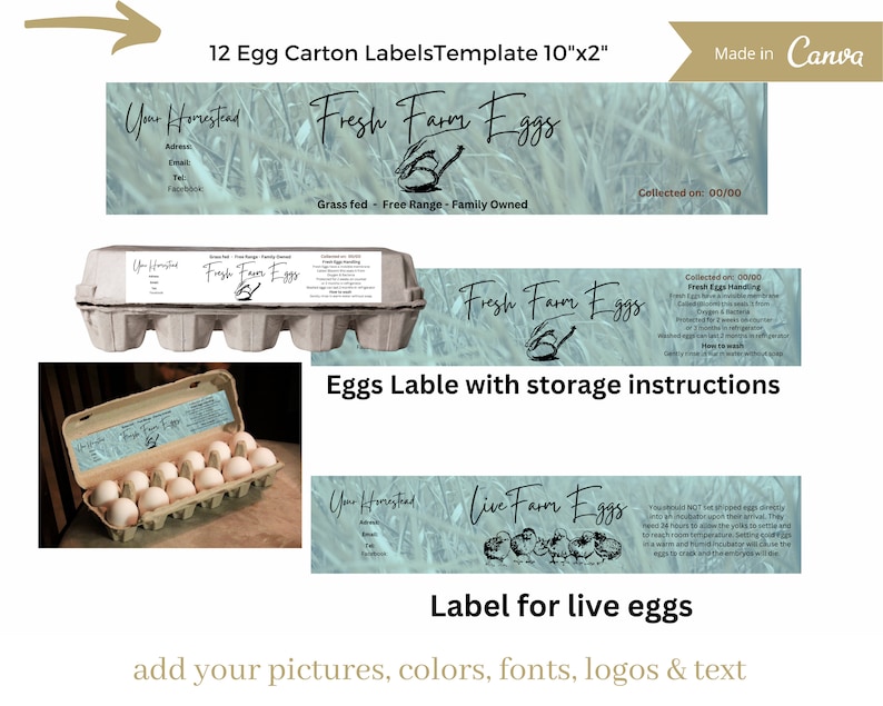 Editable Chicken Package, Chicken, Chicken Logo, Backyard Chickens ...