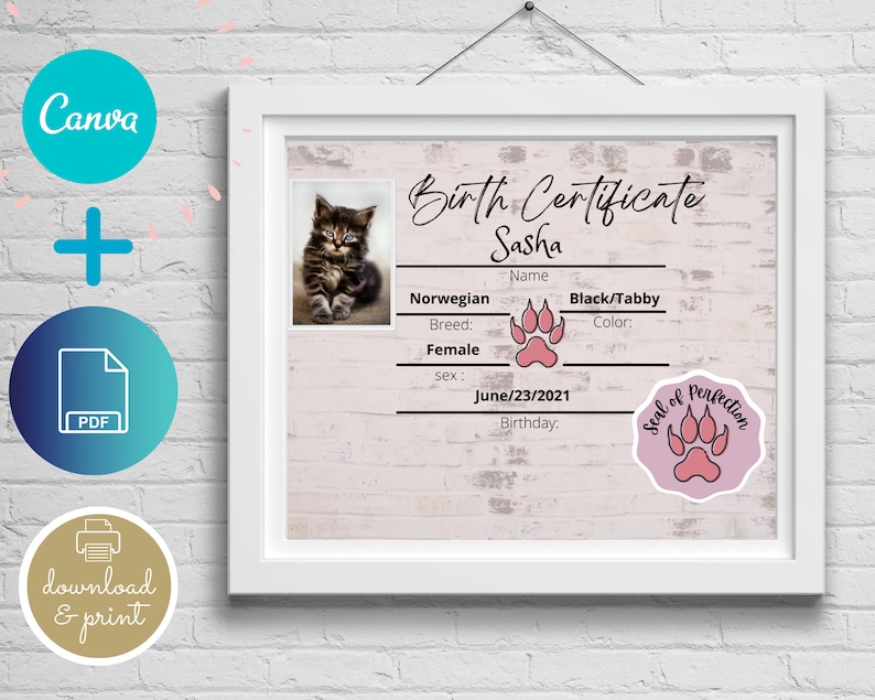 Editable Kitten Birth Certificate Template,pdf, Birth Certificate, Cat ...