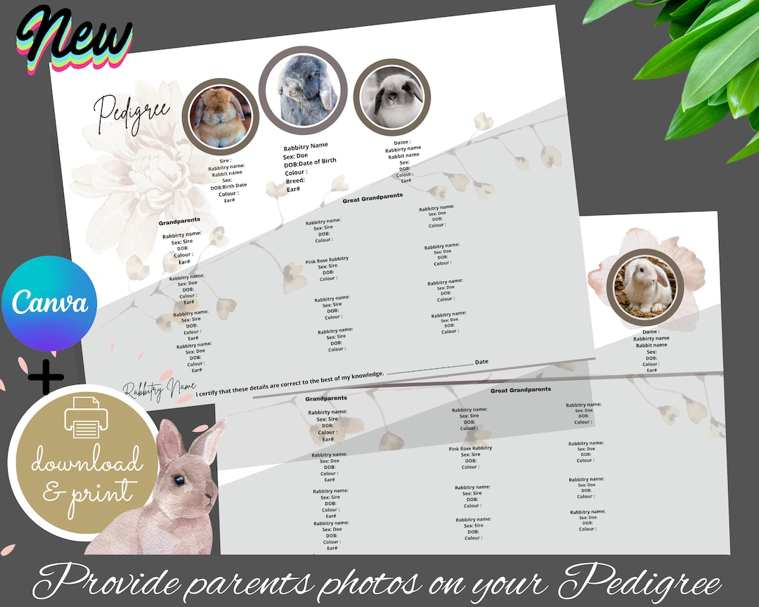 3 Photo Pedigree, Editable Pedigree, Rabbit Pedigree, Autumn, Breeding ...
