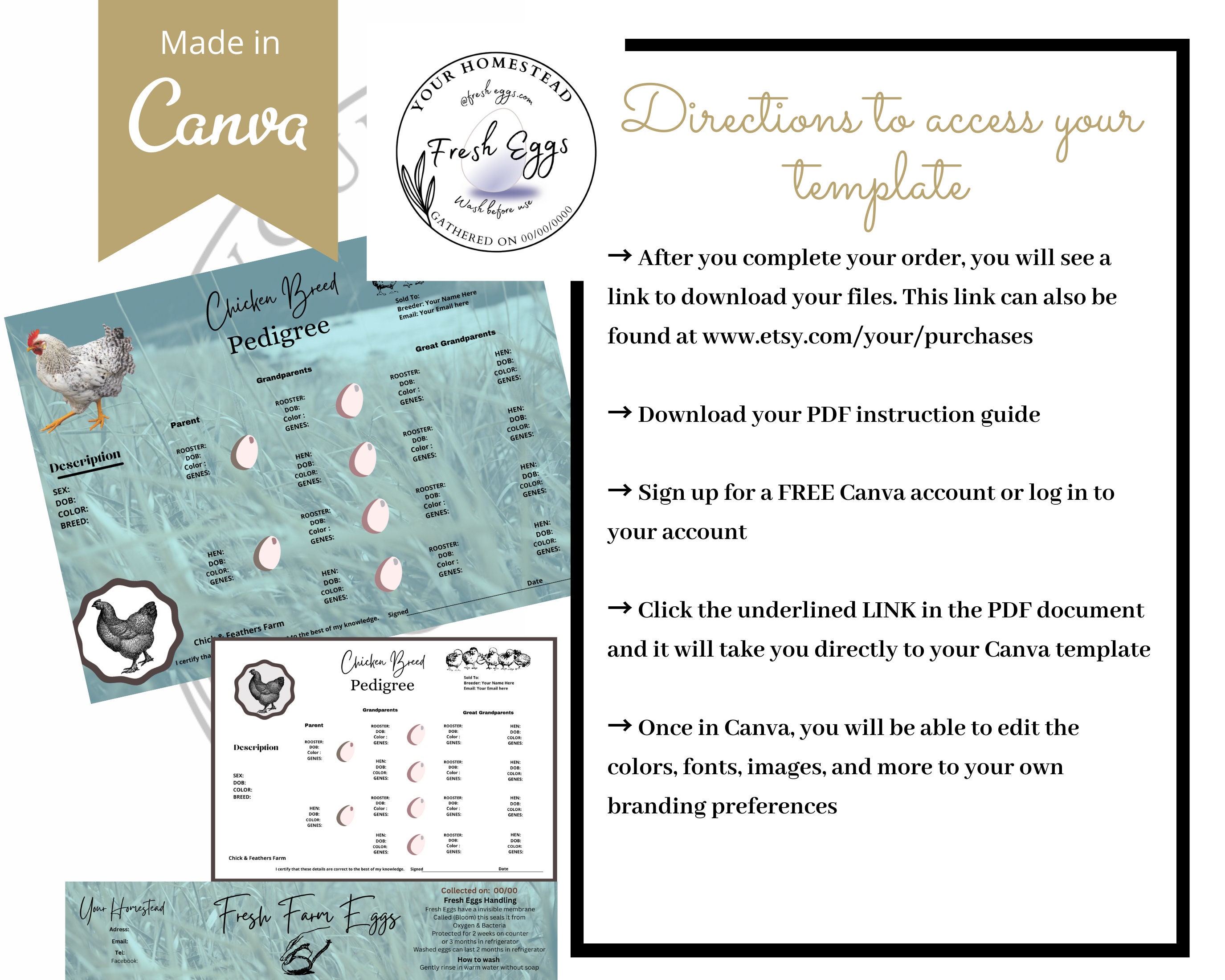 Editable Chicken Package, Chicken, Chicken Logo, Backyard Chickens ...