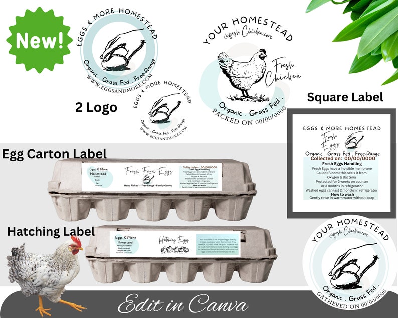 Editable Chicken Templates, Chicken Logo, Egg Logo, Hatchery, Chicken ...