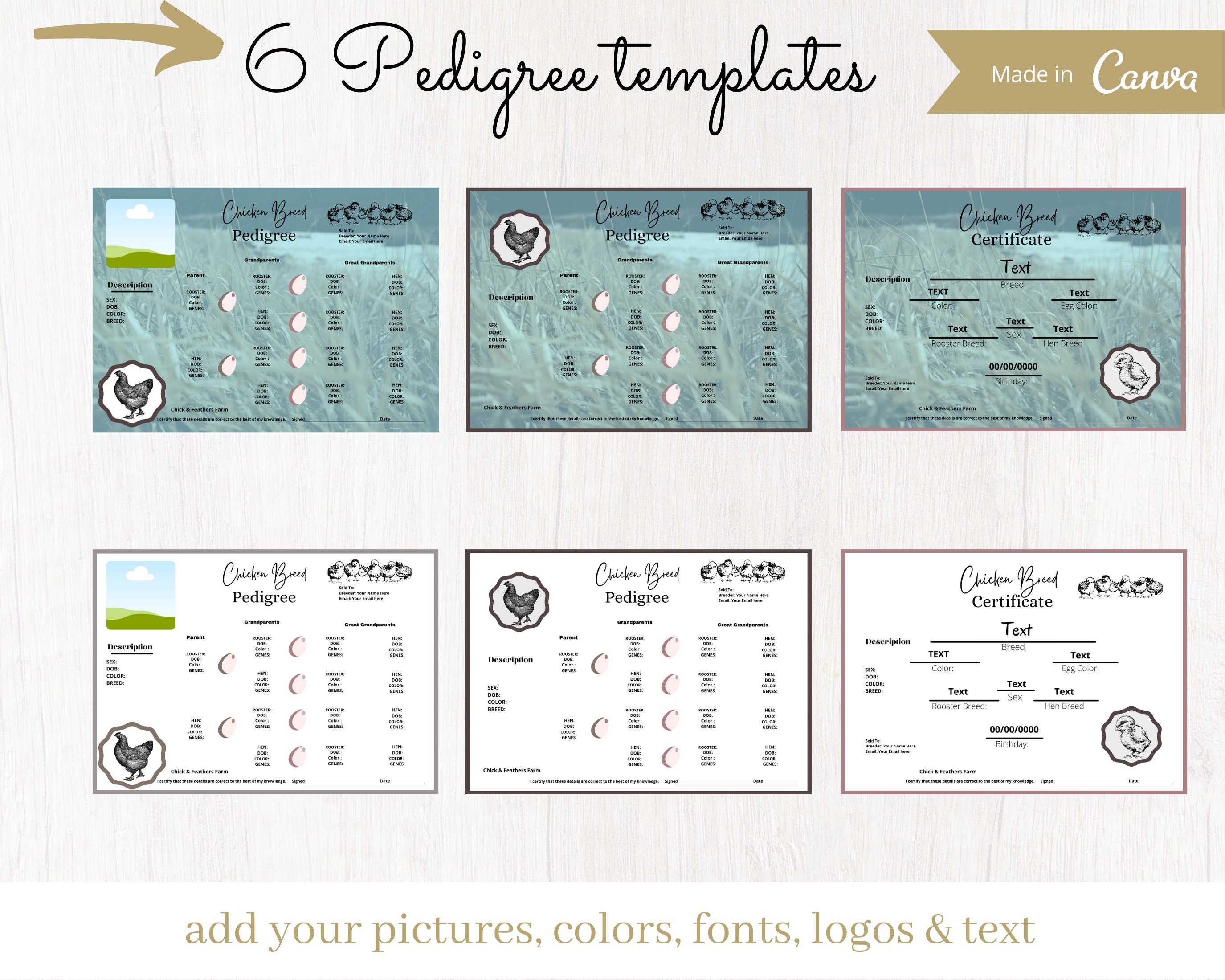 Editable Chicken Package, Chicken, Chicken Logo, Backyard Chickens ...