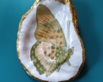 Butterfly Clam Shell - Etsy