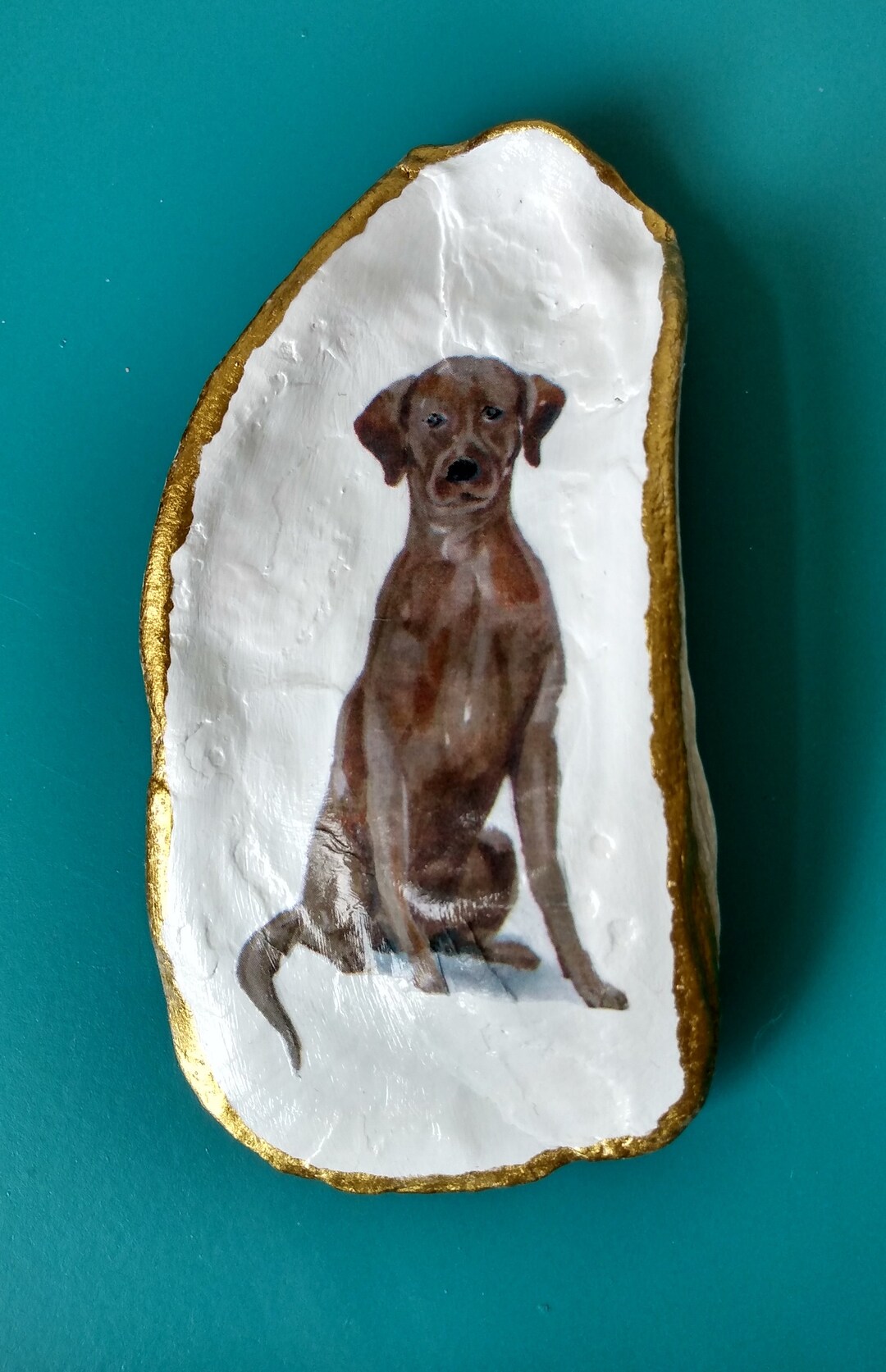 CHOCOLATE LAB Labrador Dog XL Decoupage Oyster Shell. Beach Coastal ...