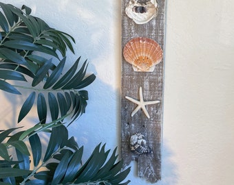 Shell Wall Decor - Etsy