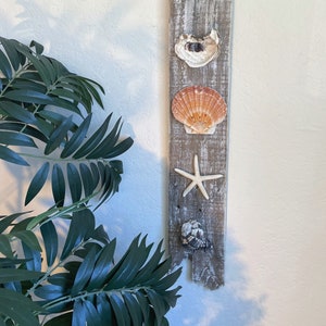 Unique Seashell Wall Art, Cute Shell and Driftwood Wall Hanging ...