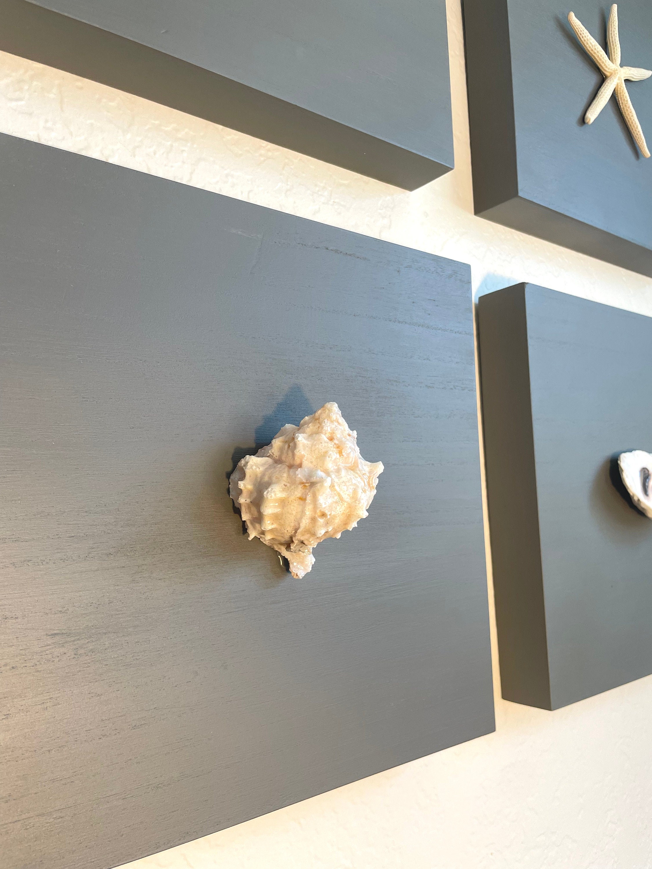 Shell Wall Art Wooden Starfish Wall Decor Coastal Wall Art Beach ...