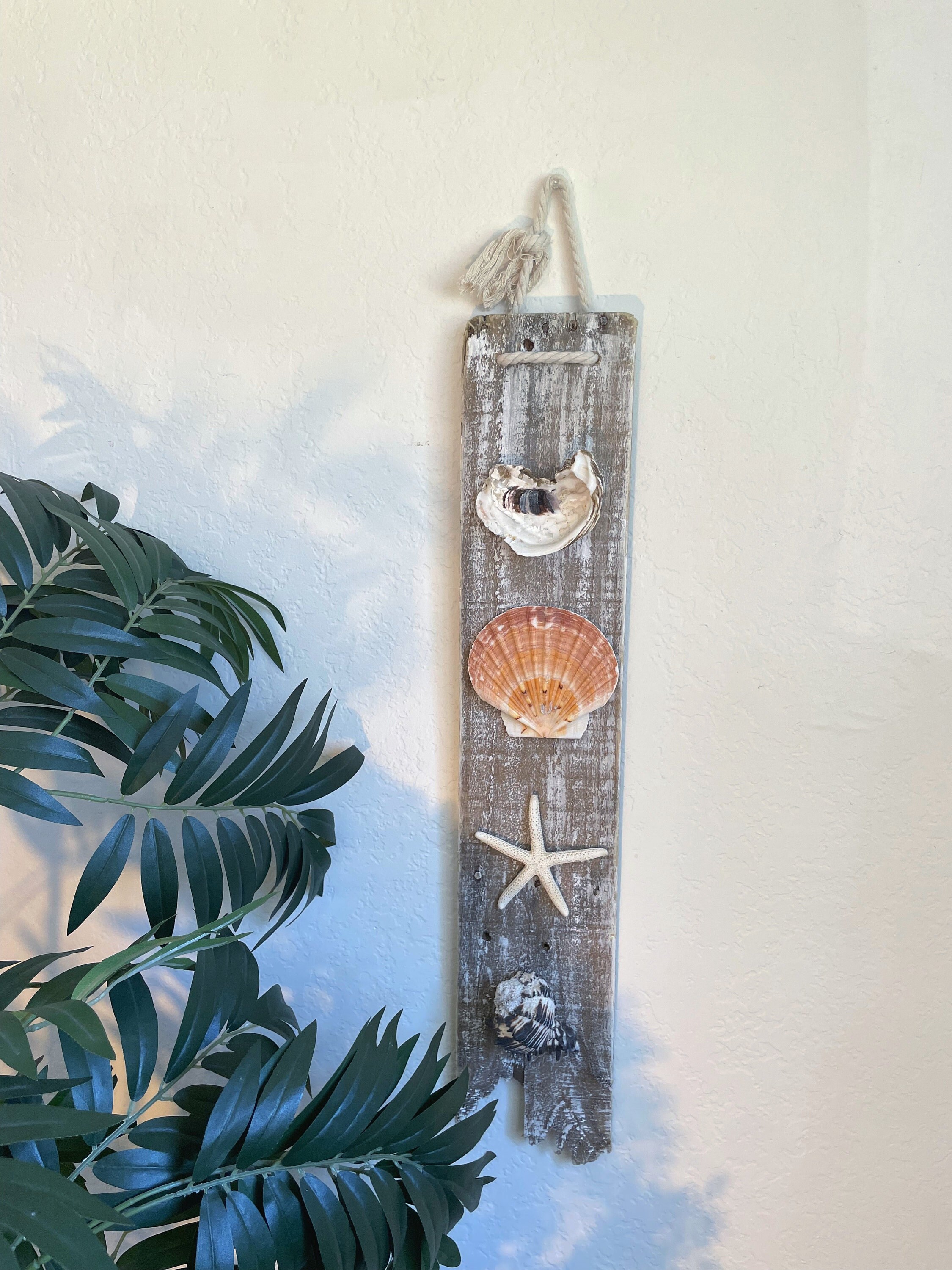 Unique Seashell Wall Art, Cute Shell and Driftwood Wall Hanging ...