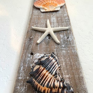 Unique Seashell Wall Art, Cute Shell and Driftwood Wall Hanging ...