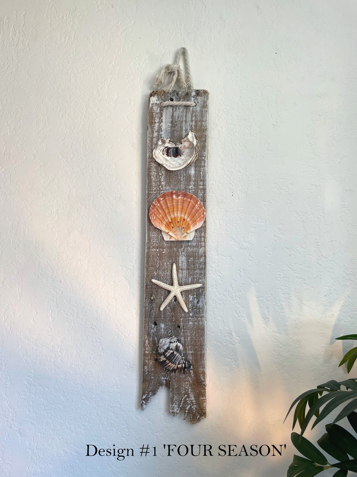 Unique Seashell Wall Art, Cute Shell and Driftwood Wall Hanging ...