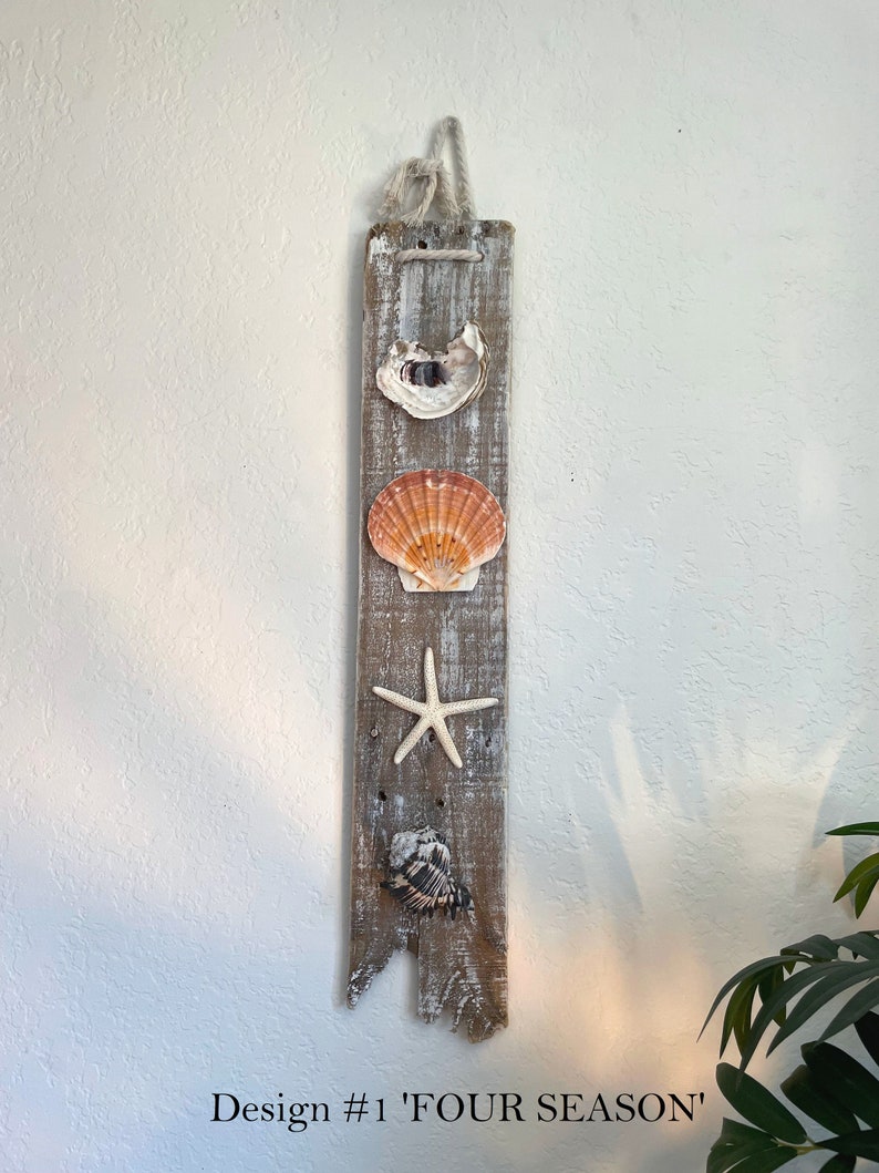 Unique Seashell Wall Art, Cute Shell and Driftwood Wall Hanging ...