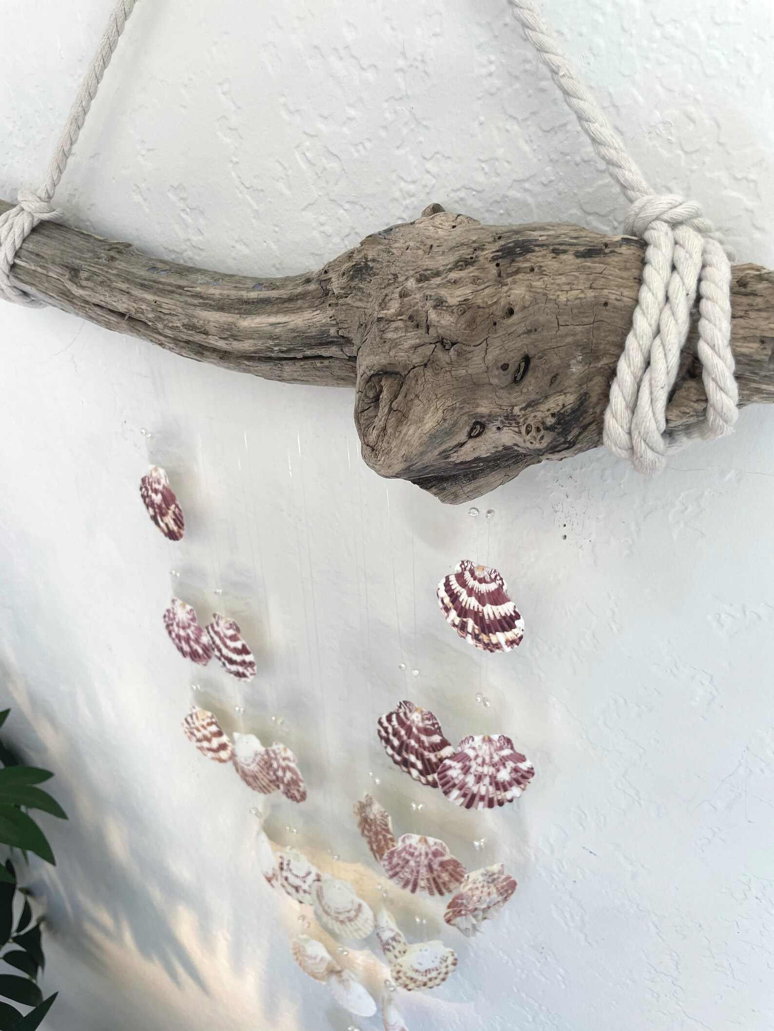 Seashell Driftwood Hanger Coastal Sea Shell Wall Hanging Seashell Craft ...
