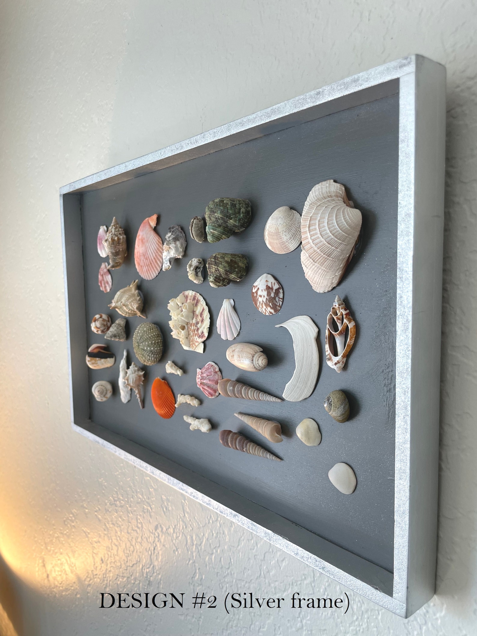 Framed Shell Wall Art Beach and Coastal Decor Nature Wall Art Seashell ...