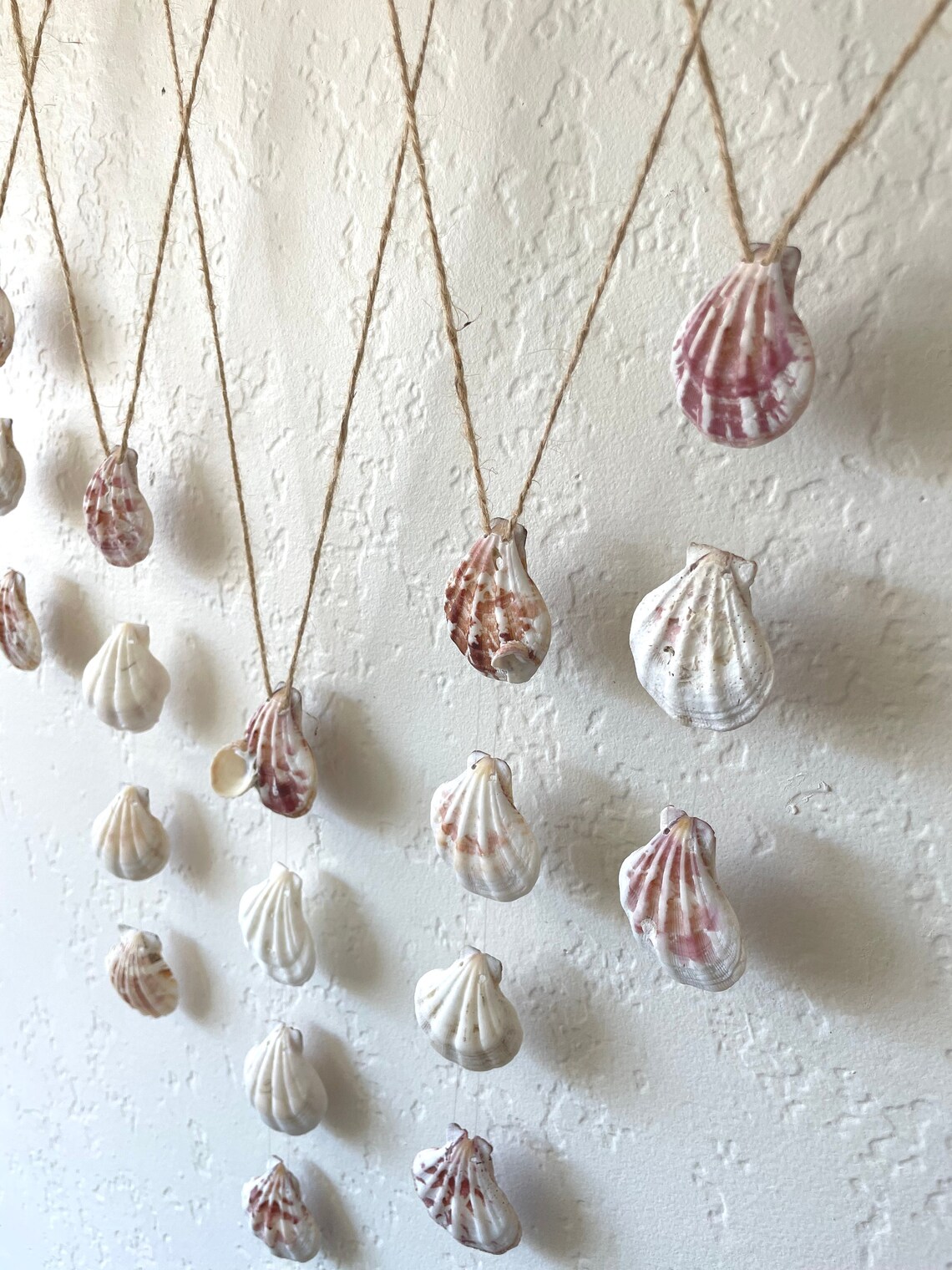 Seashell Driftwood Hanger, Coastal Sea Shell Wall Hanging, Seashell ...