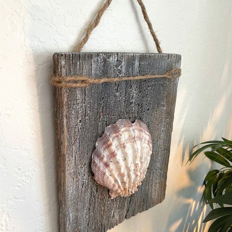 Shell Wall Decor - Etsy