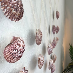 Seashell Driftwood Hanger, Coastal Sea Shell Wall Hanging, Seashell ...