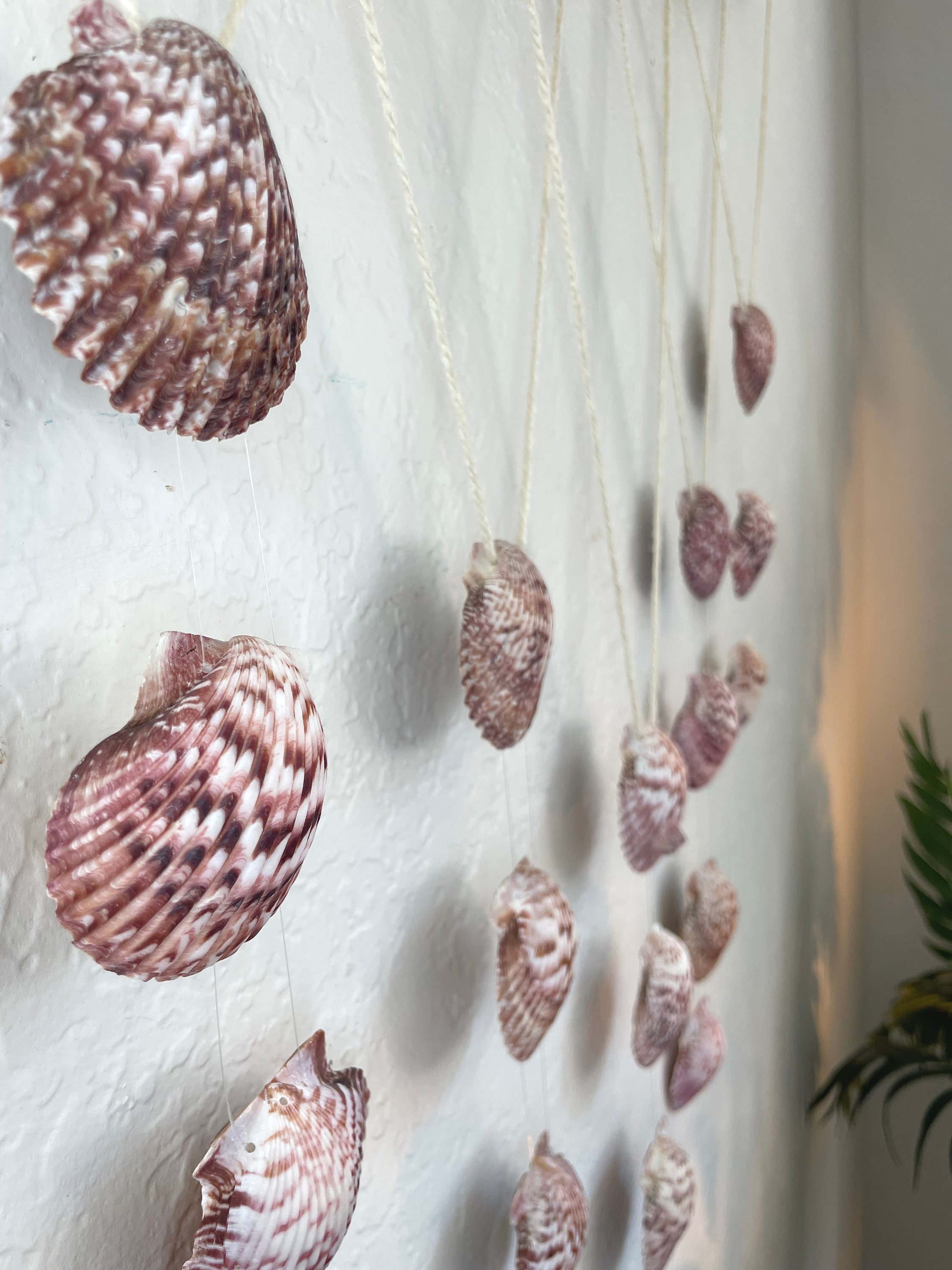 Seashell Driftwood Hanger, Coastal Sea Shell Wall Hanging, Seashell ...